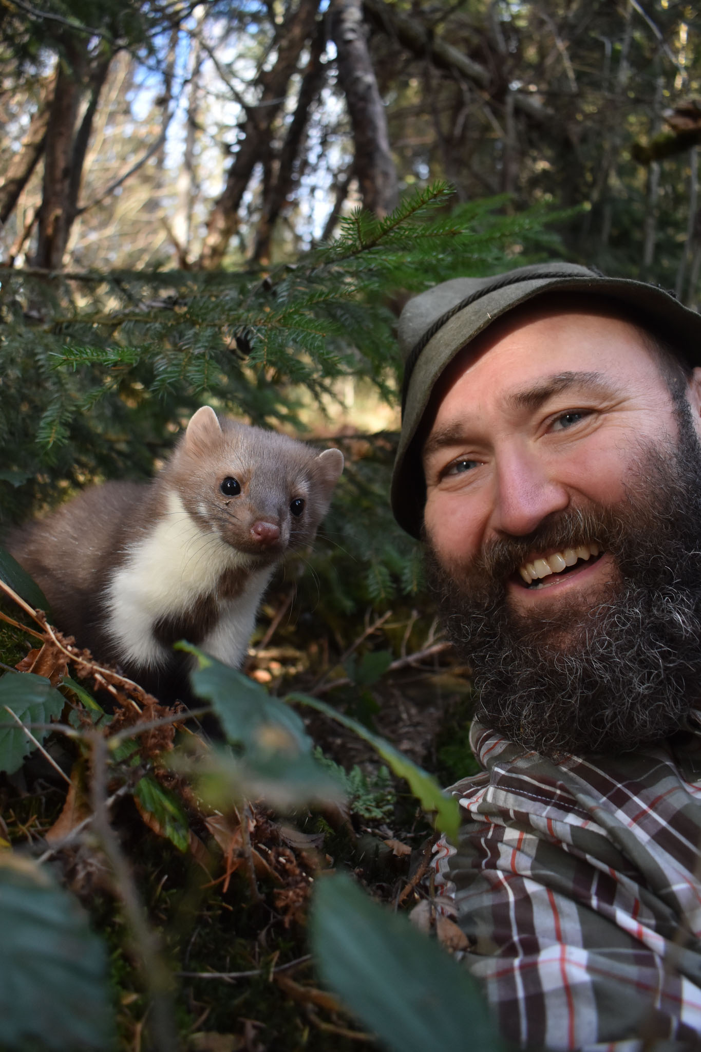 Wanderpartner Woid-Woife - Hotel Hammerhof (Bodenmais)